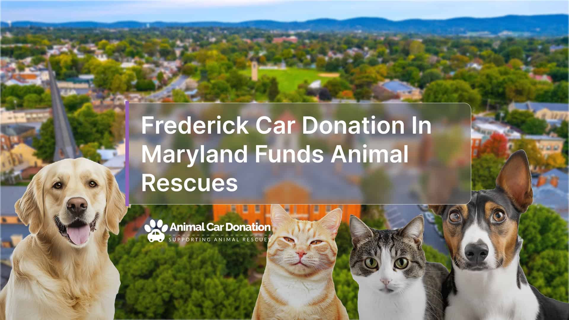 Frederick Car Donation In Maryland Funds Animal Rescues