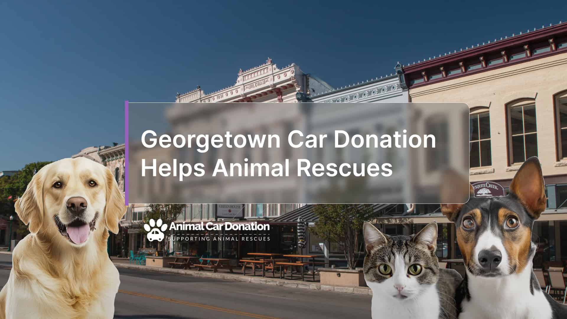 Georgetown Car Donation In Texas Helps Animal Rescues
