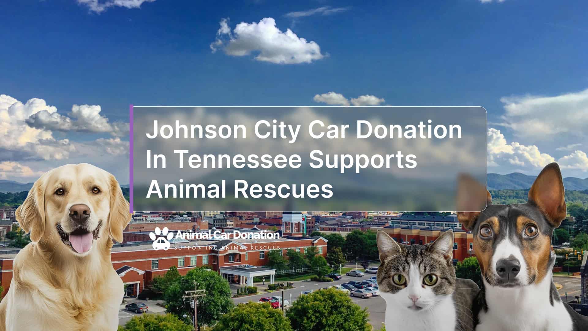 Johnson City Car Donation In Tennessee Funds Animal Rescue