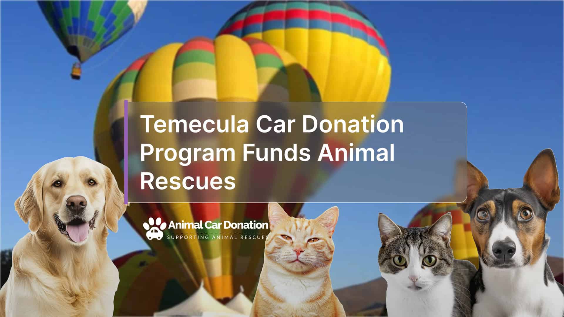 Temecula Car Donation In California Funds Animal Rescues