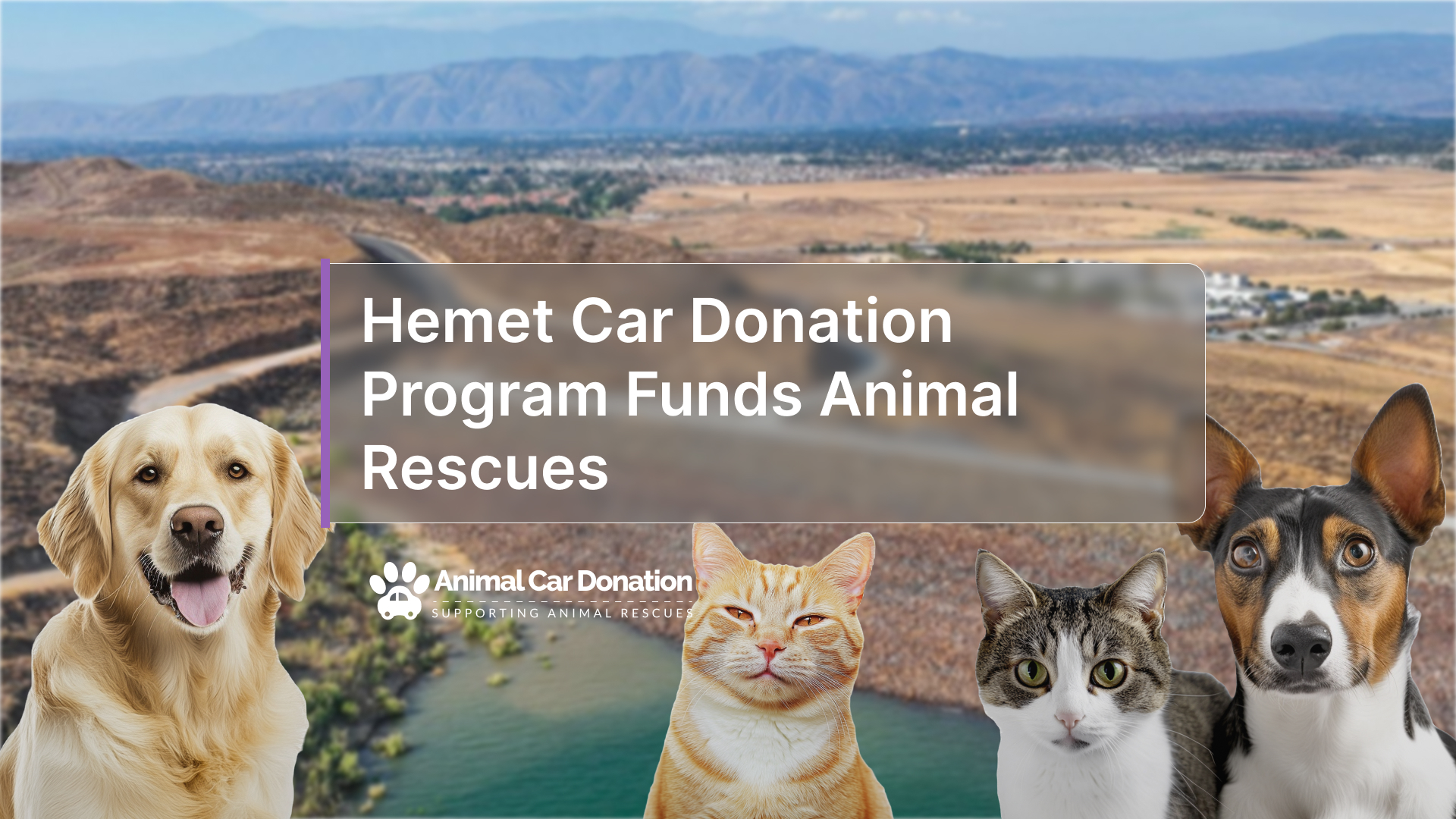 Hemet Car Donation Program Funds Animal Rescues