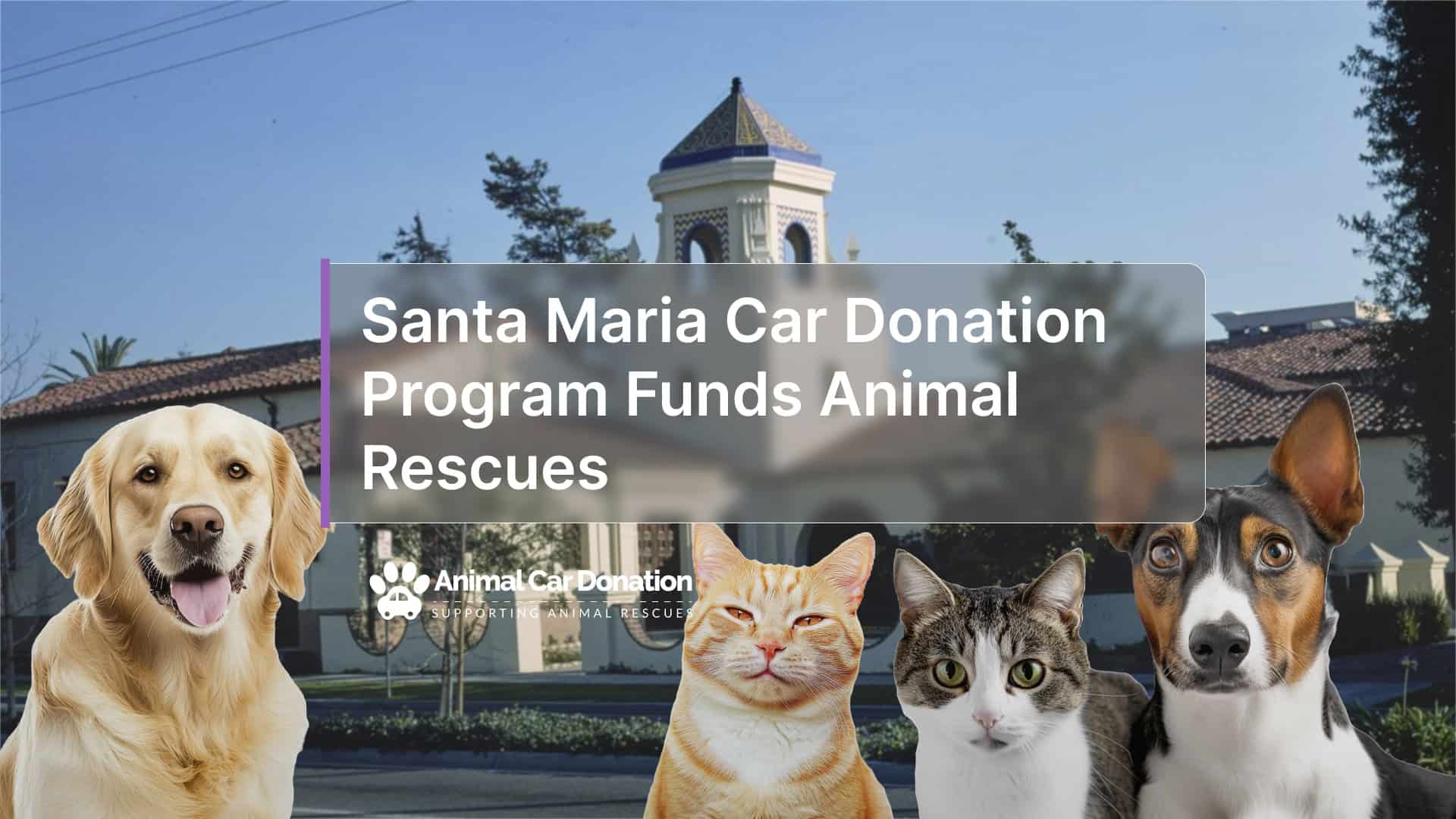 Santa Maria Car Donation Program Funds Animal Rescues