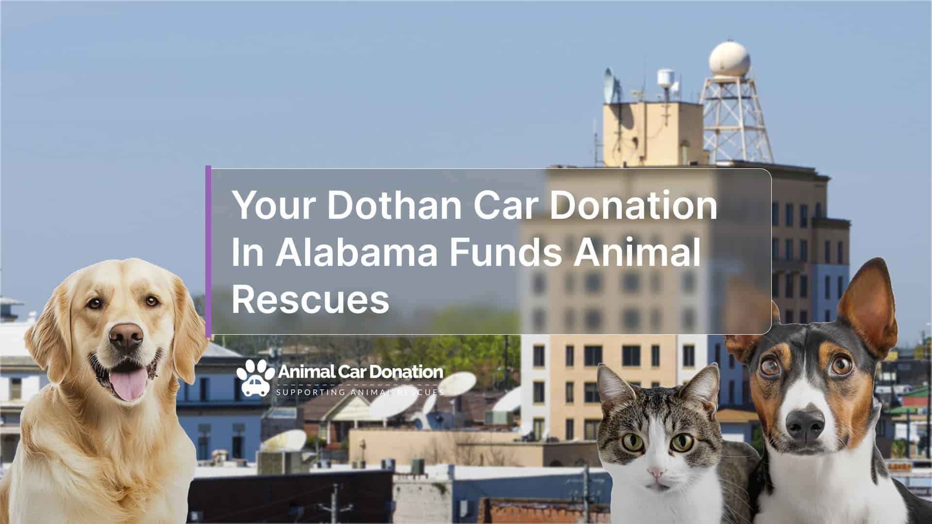 Your Dothan Car Donation In Alabama Funds Animal Rescues