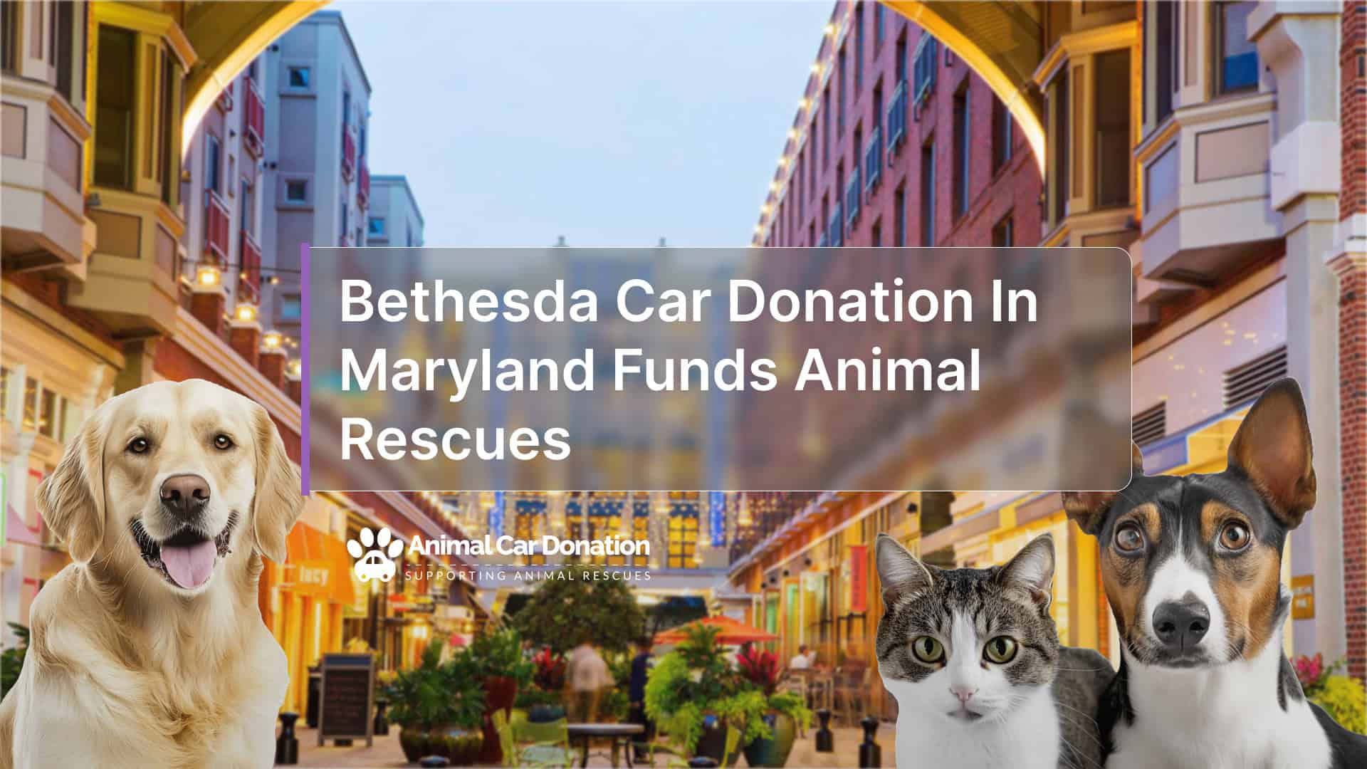 Bethesda Car Donation In Maryland Funds Animal Rescues