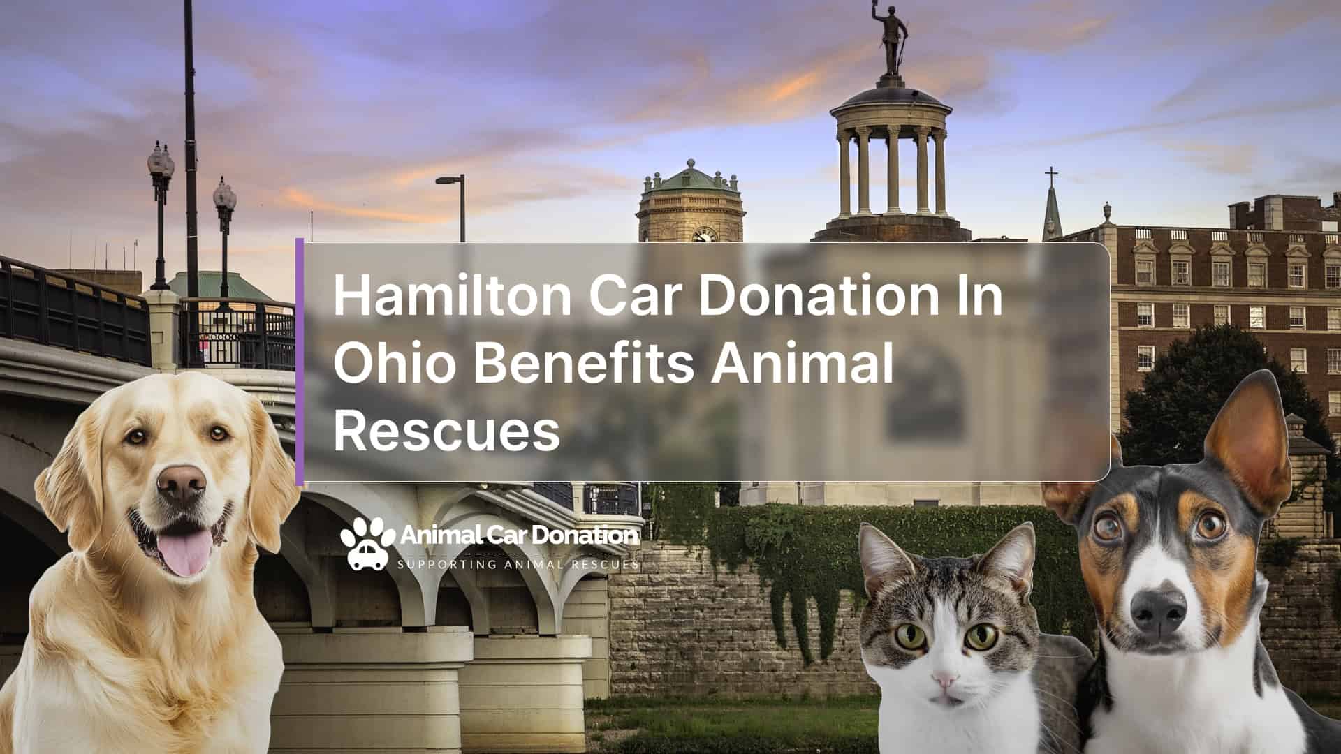 Hamilton Car Donation In Ohio Funds Animal Rescue Charities