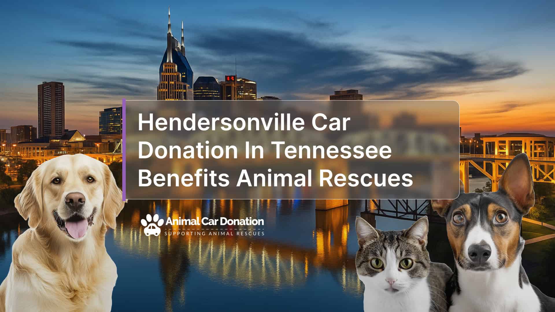 Hendersonville Car Donation In TN Supports Animal Rescues