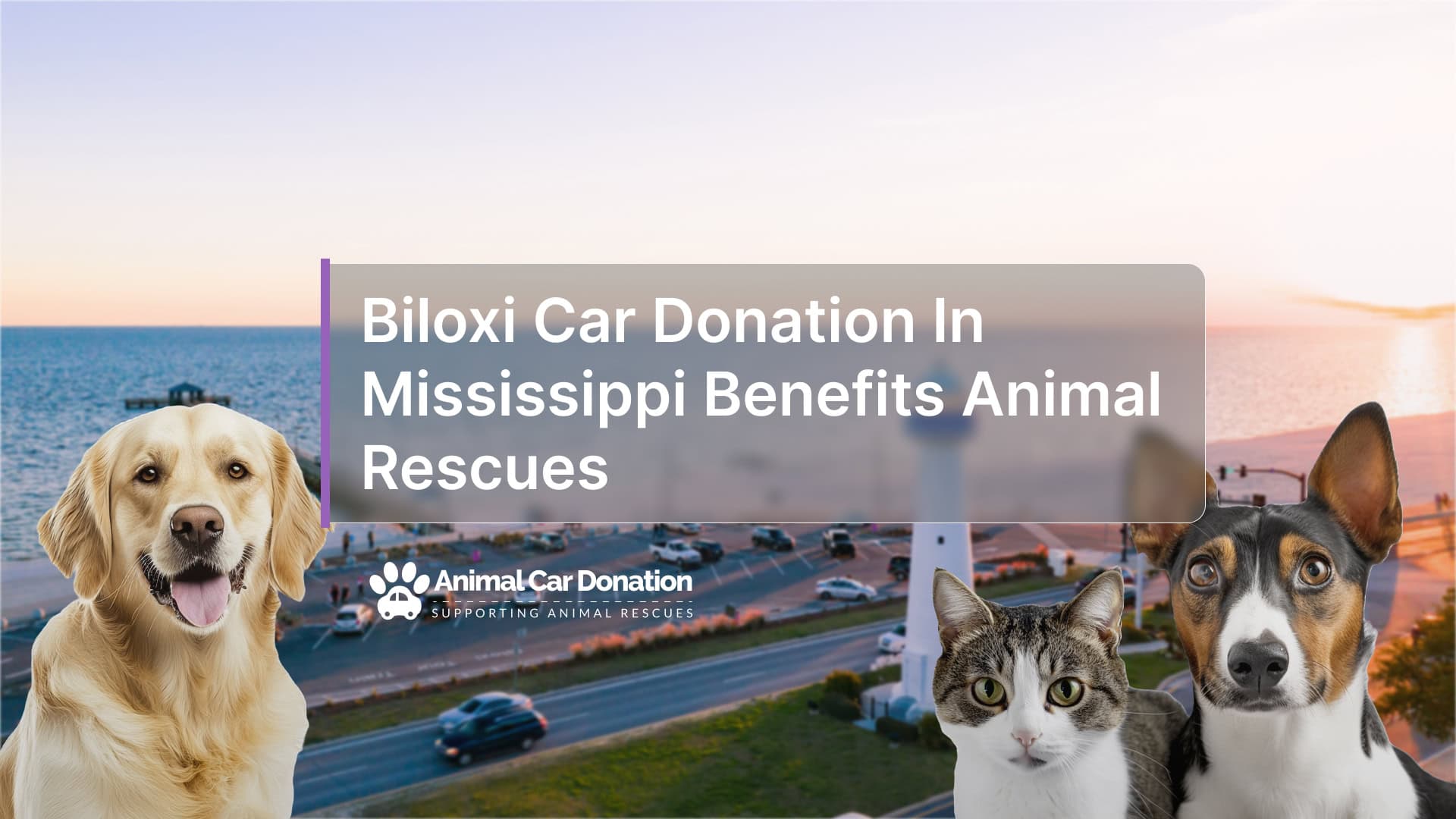 Biloxi Car Donation In Mississippi Benefits Animal Rescues