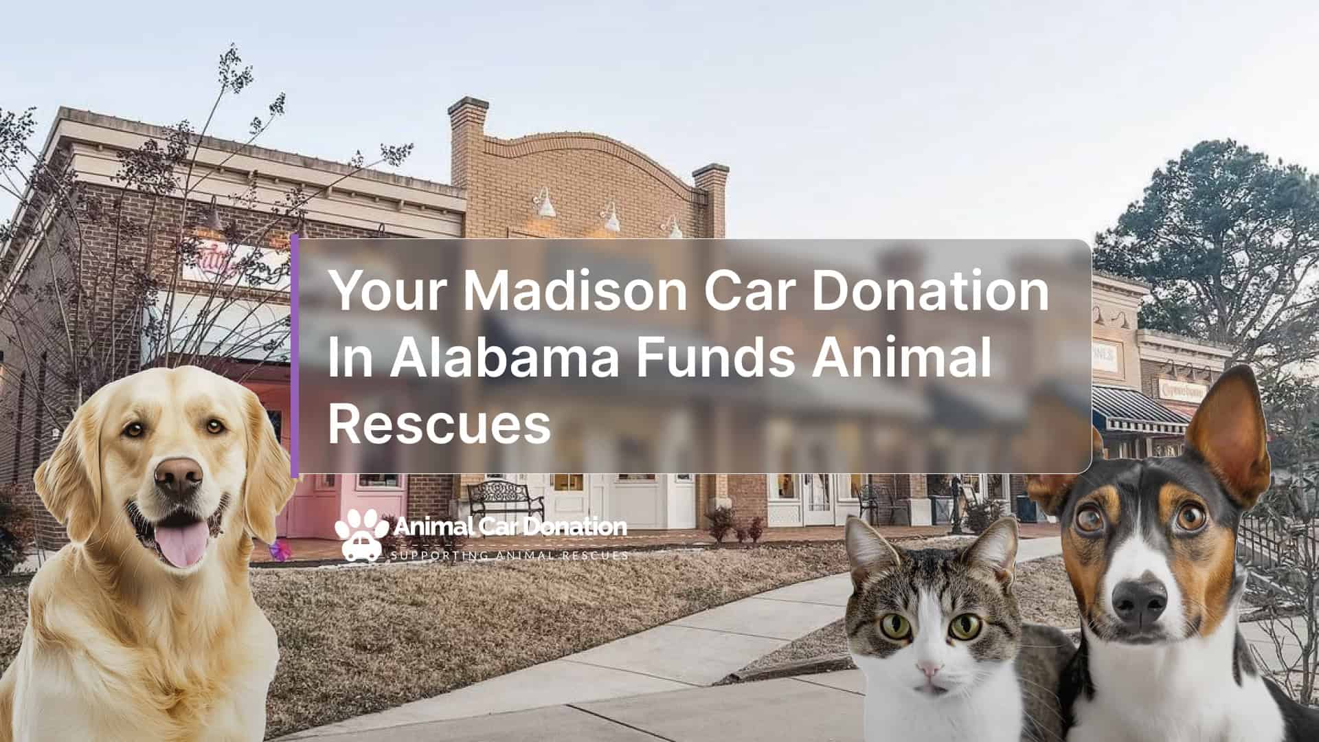 Your Madison Car Donation In Alabama Funds Animal Rescues