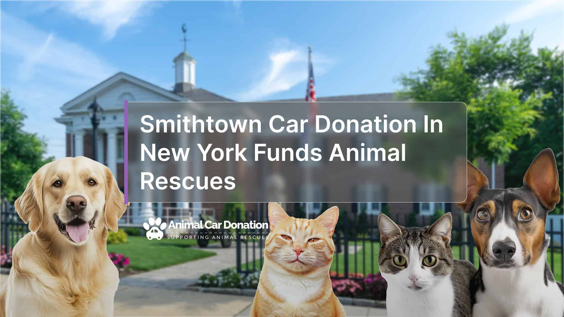 Smithtown Car Donation In New York Funds Animal Rescues