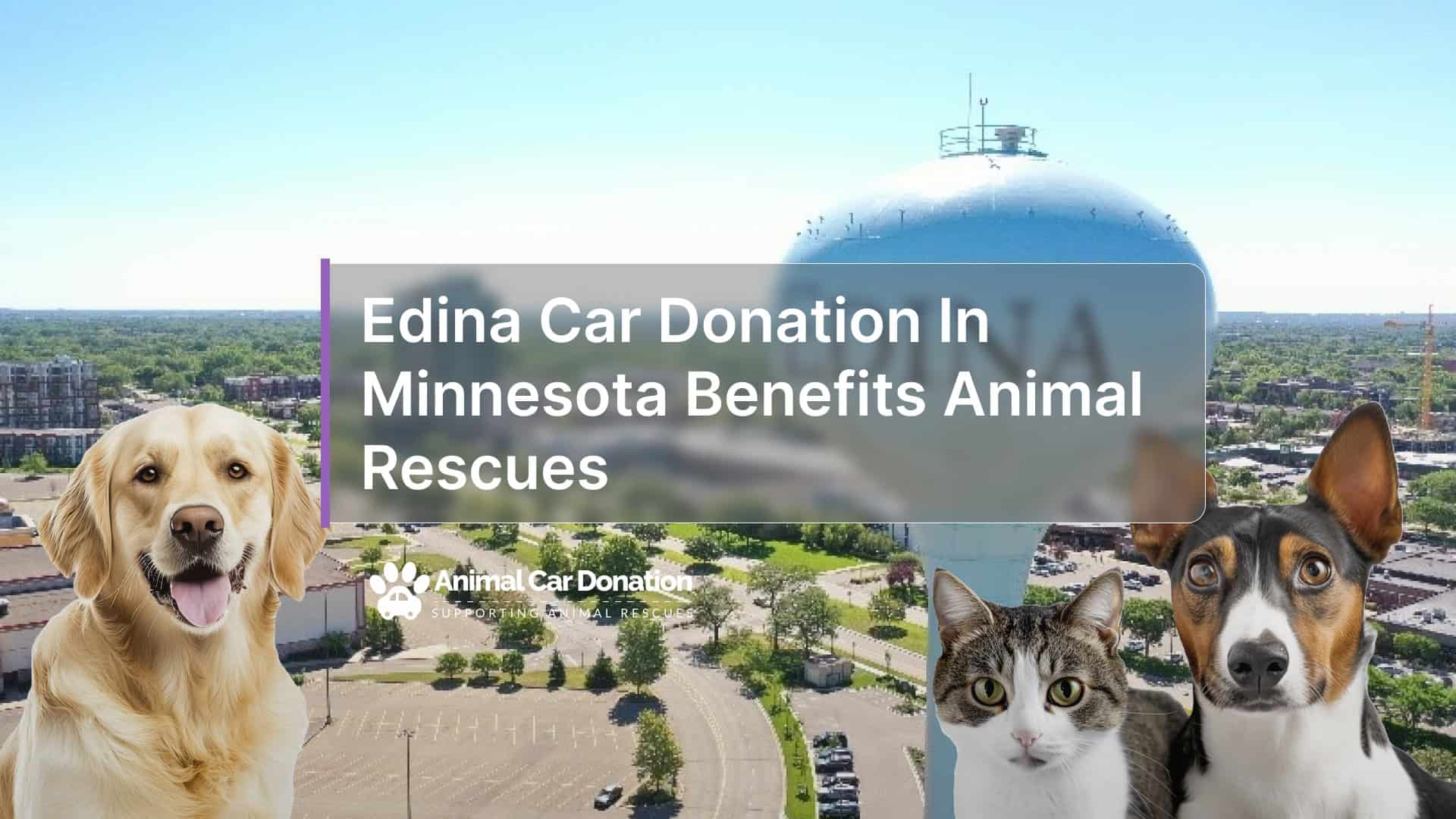 Edina Car Donation In Minnesota Benefits Animal Rescues