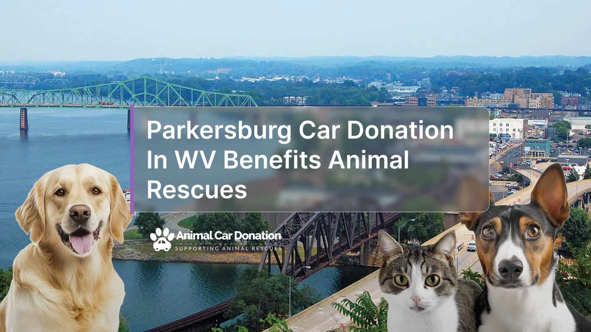 Parkersburg Car Donation In WV Benefits Animal Rescues