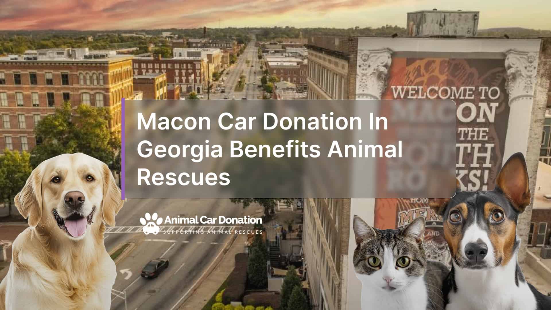 Macon Car Donation In Georgia Benefits Animal Rescues