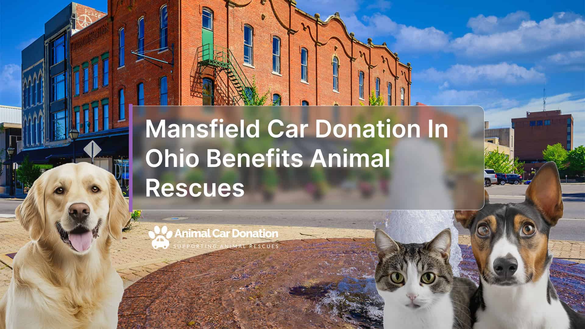 Mansfield Car Donation In Ohio Benefits Animal Rescues