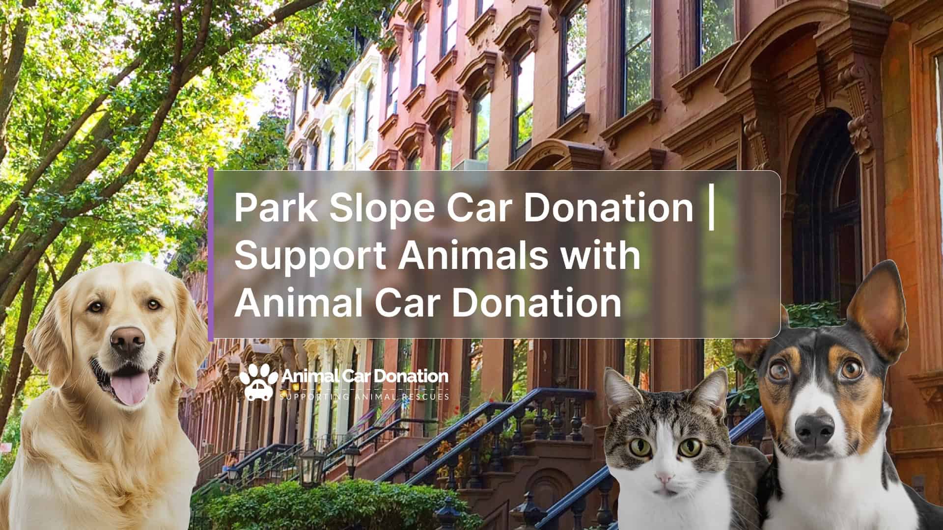 Park Slope Car Donation | Support Animals with Animal Car Donation