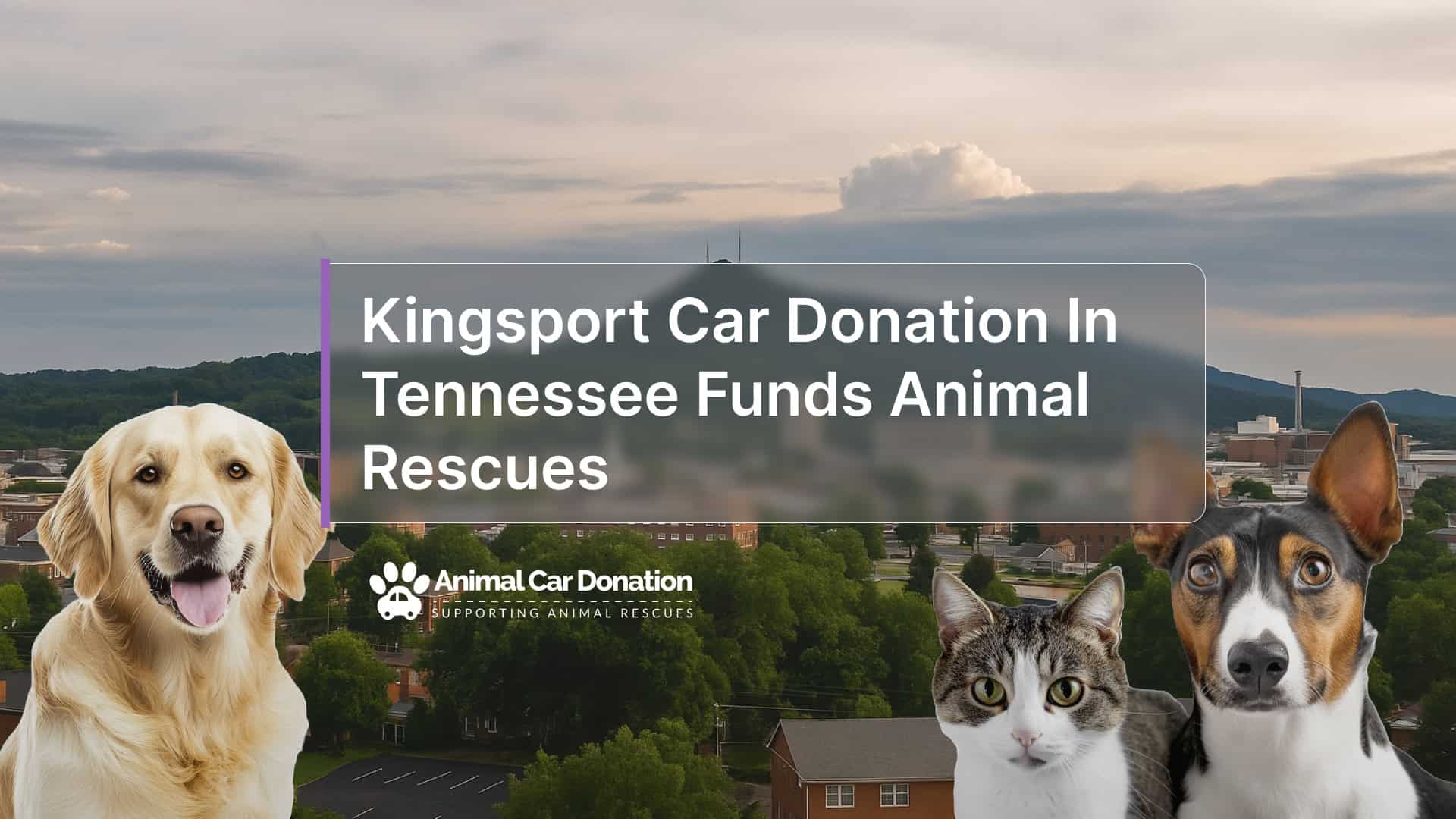 Kingsport Car Donation In Tennessee Funds Animal Rescues