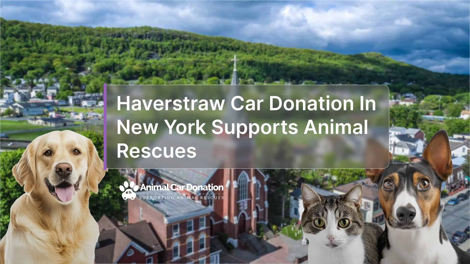 Haverstraw Car Donation In New York Funds Animal Rescues