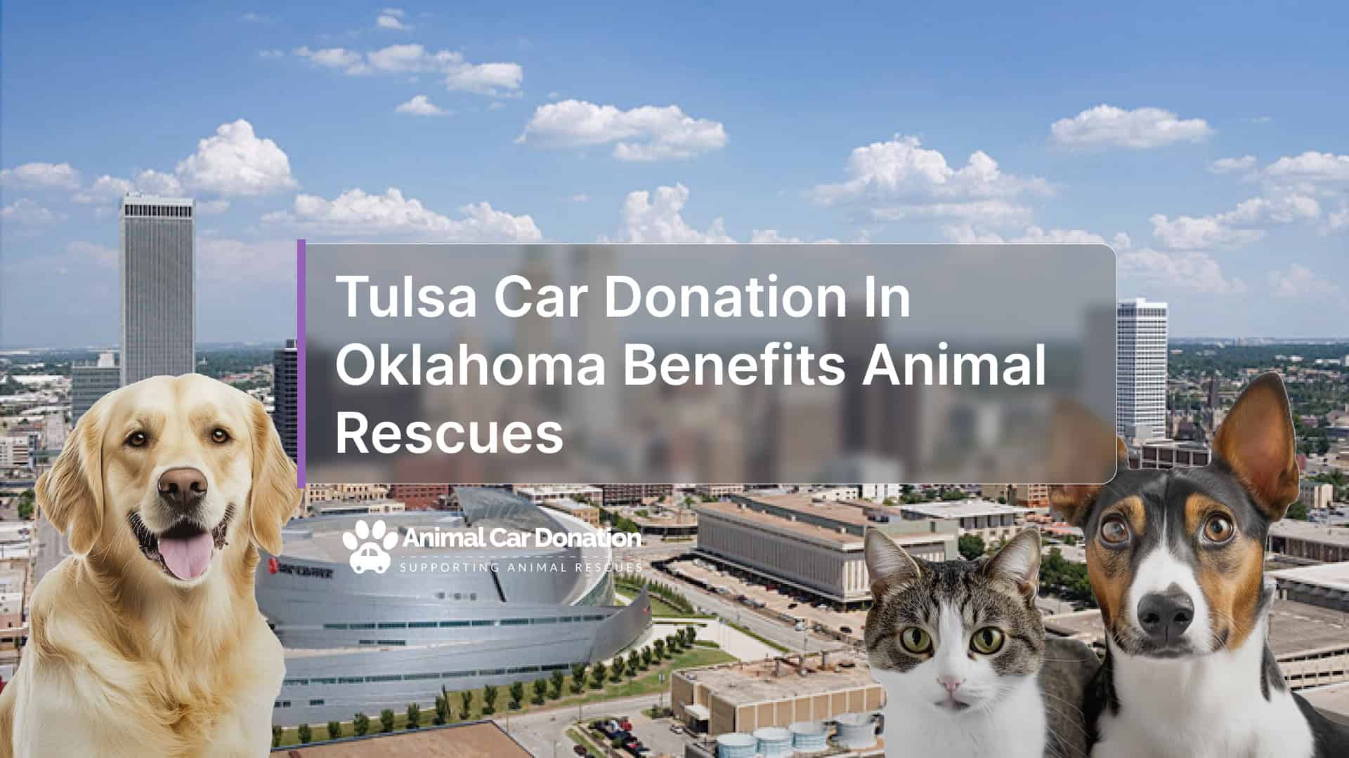 Tulsa Car Donation In Oklahoma Benefits Animal Rescues