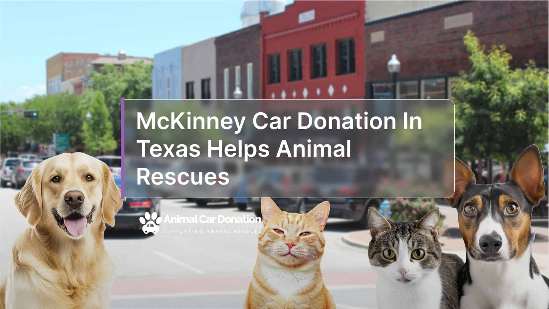 McKinney Car Donation In Texas Funds Animal Rescue Charity