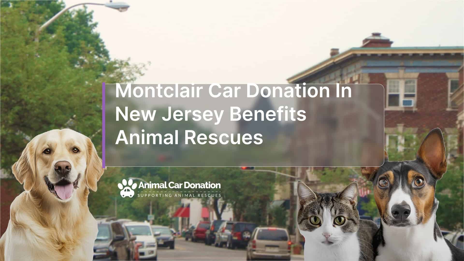 Montclair Car Donation In New Jersey Benefits Animal Rescues
