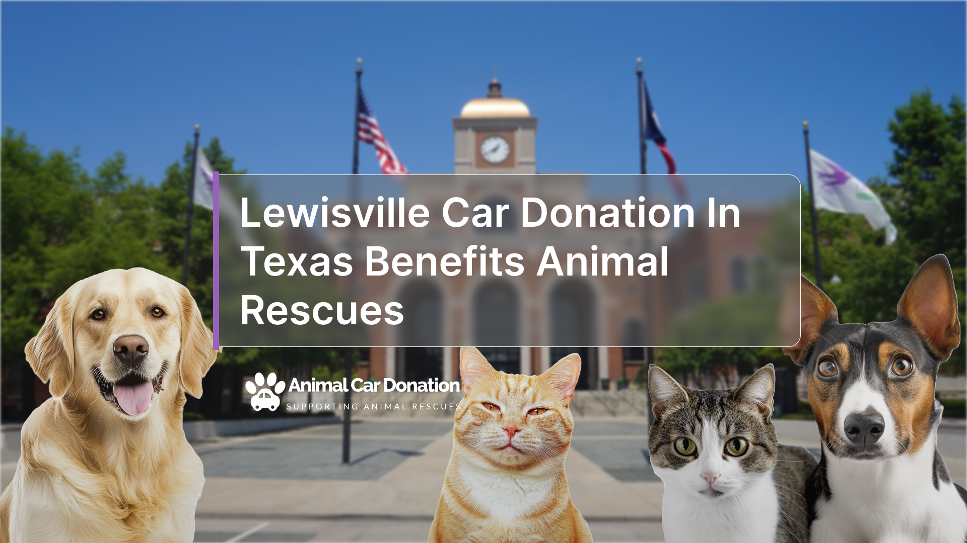 Lewisville Car Donation In Texas Benefits Animal Rescues