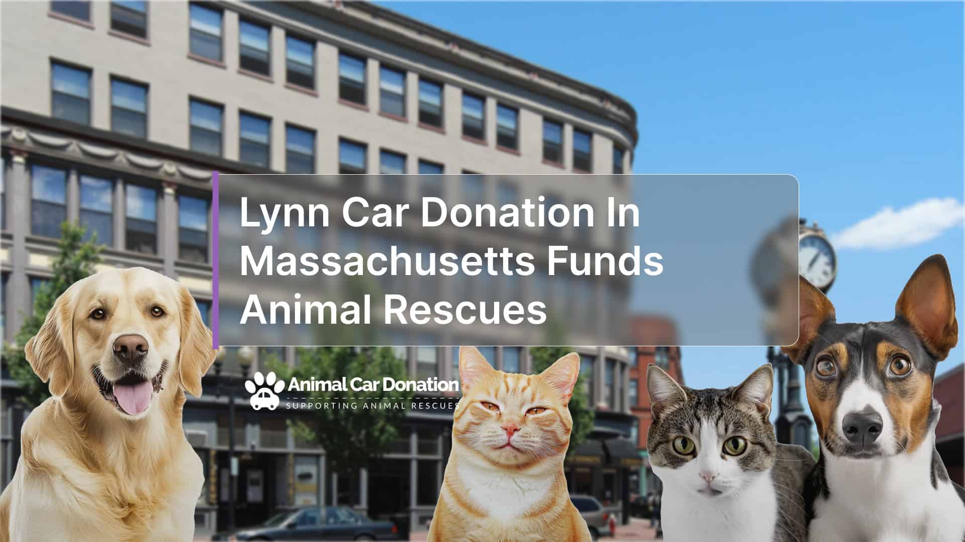 Lynn Car Donation In Massachusetts Funds Animal Rescues