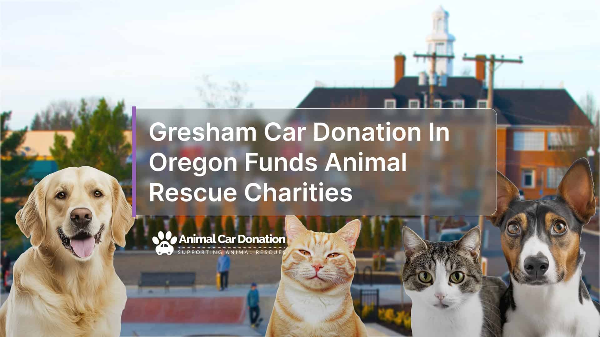 Gresham Car Donation In Oregon Benefits Animal Rescues
