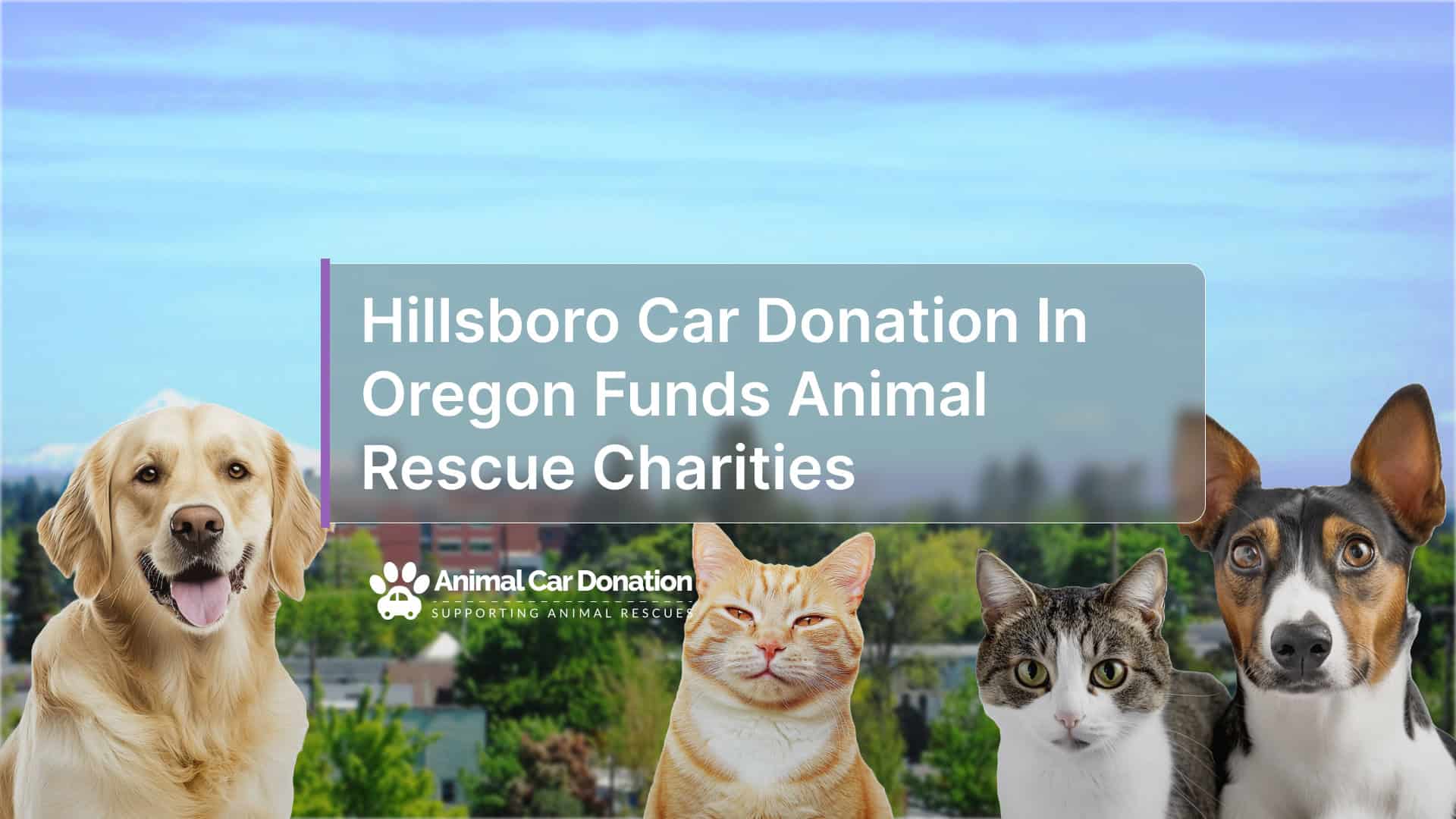 Hillsboro Car Donation In Oregon Funds Animal Rescue Charity