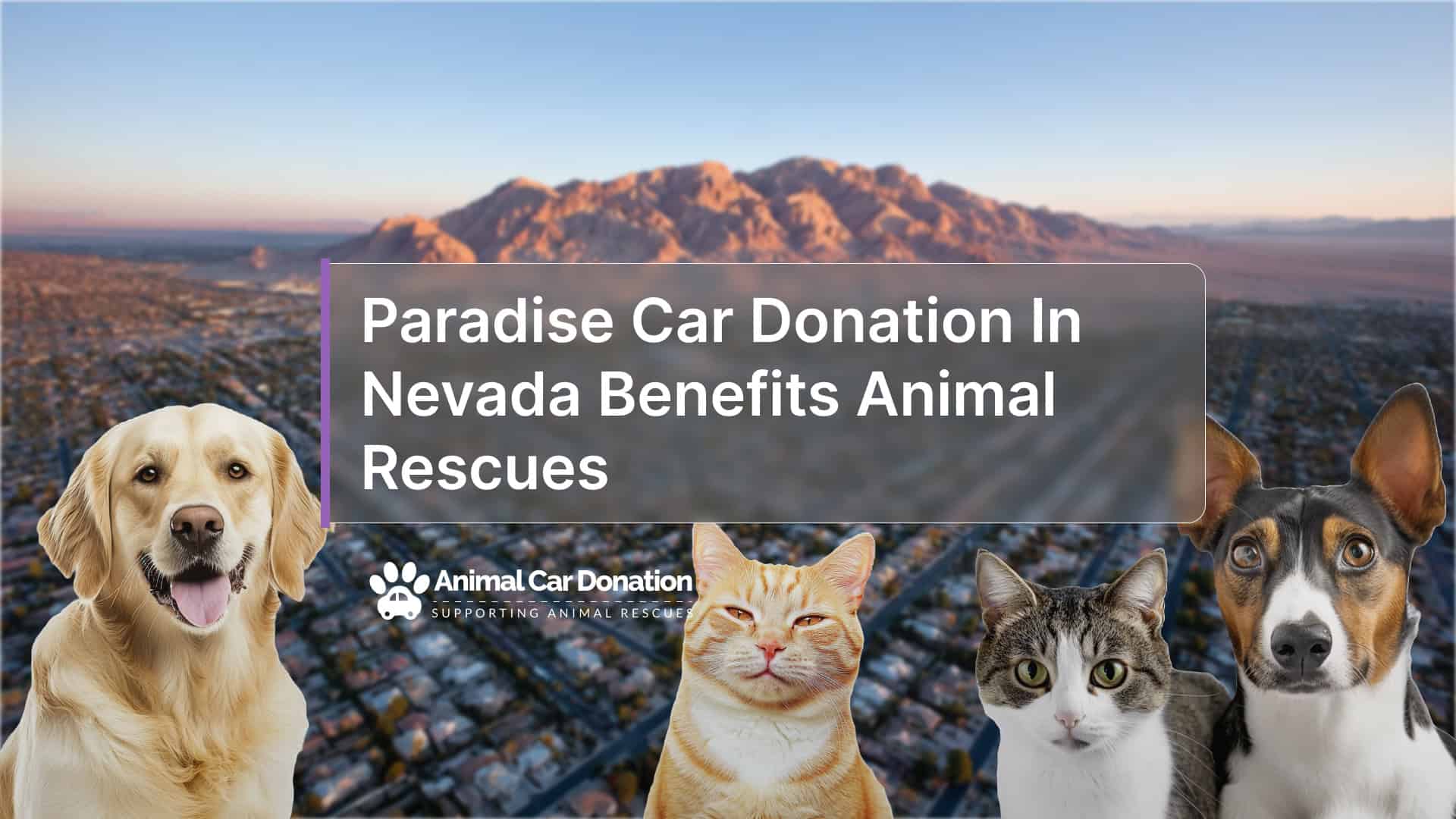 Paradise Car Donation In Nevada Benefits Animal Rescues