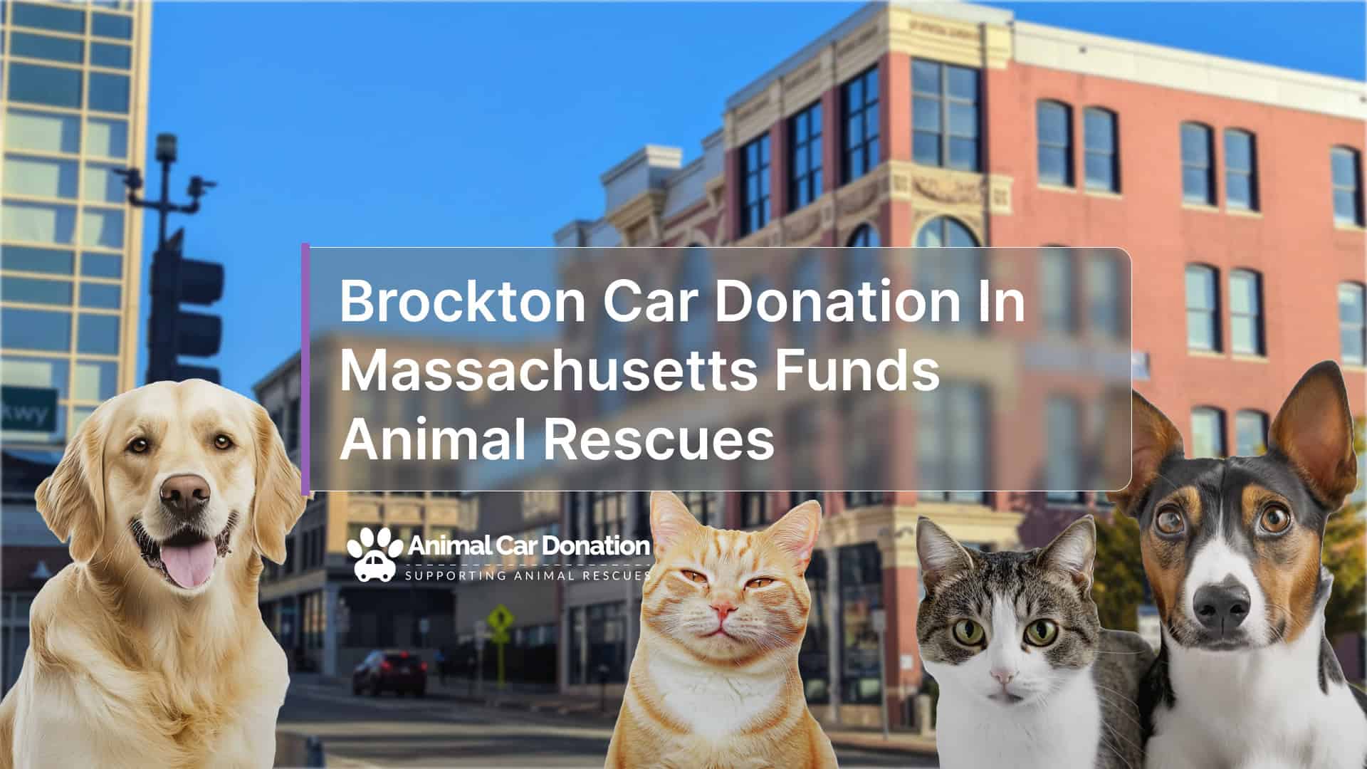 Brockton Car Donation In Massachusetts Funds Animal Rescue