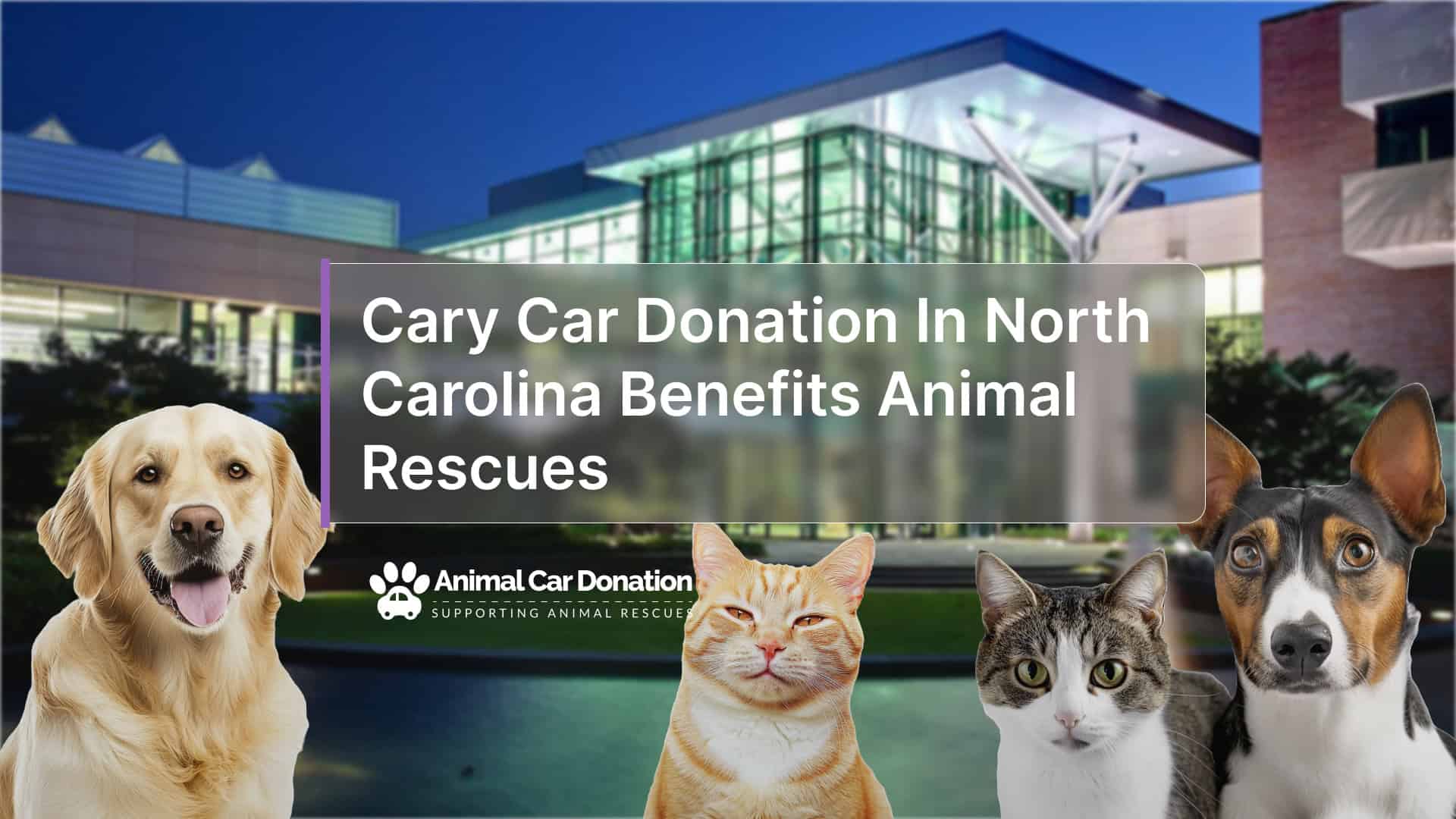 Cary Car Donation In North Carolina Benefits Animal Rescues