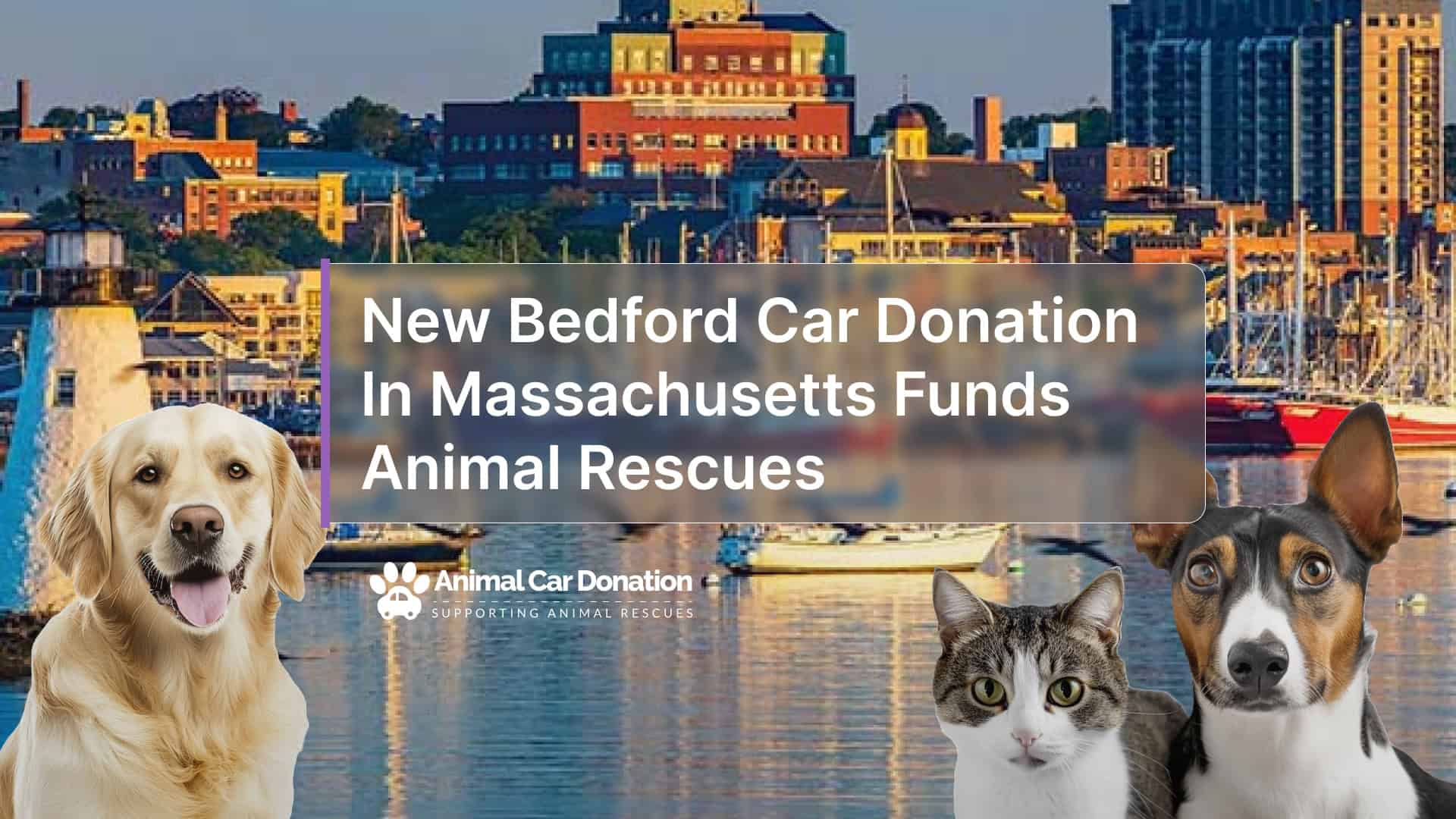New Bedford Car Donation In Massachusetts Funds Animal Rescues