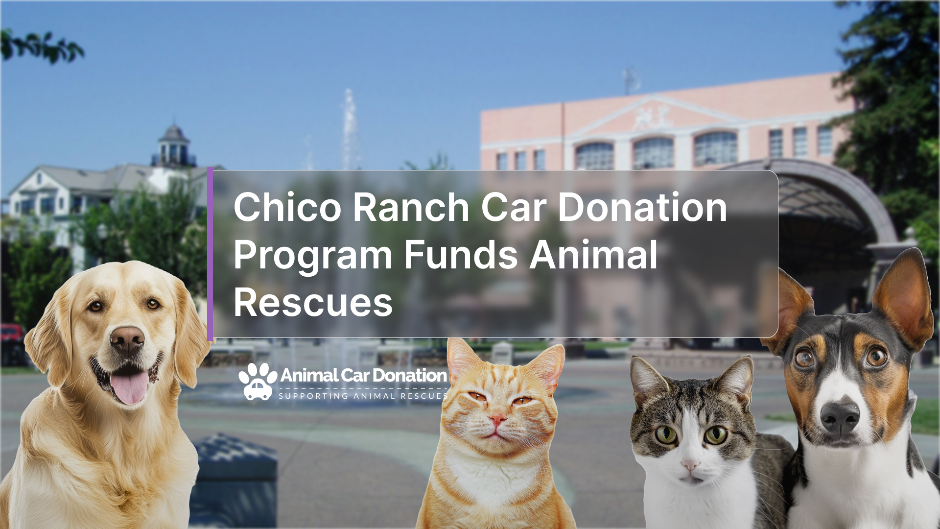 Chico Ranch Car Donation Program Funds Animal Rescues